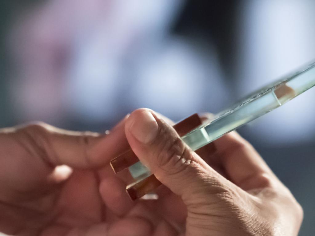 Meet Doctors of BC’s 2024 award winners | Doctors of BC