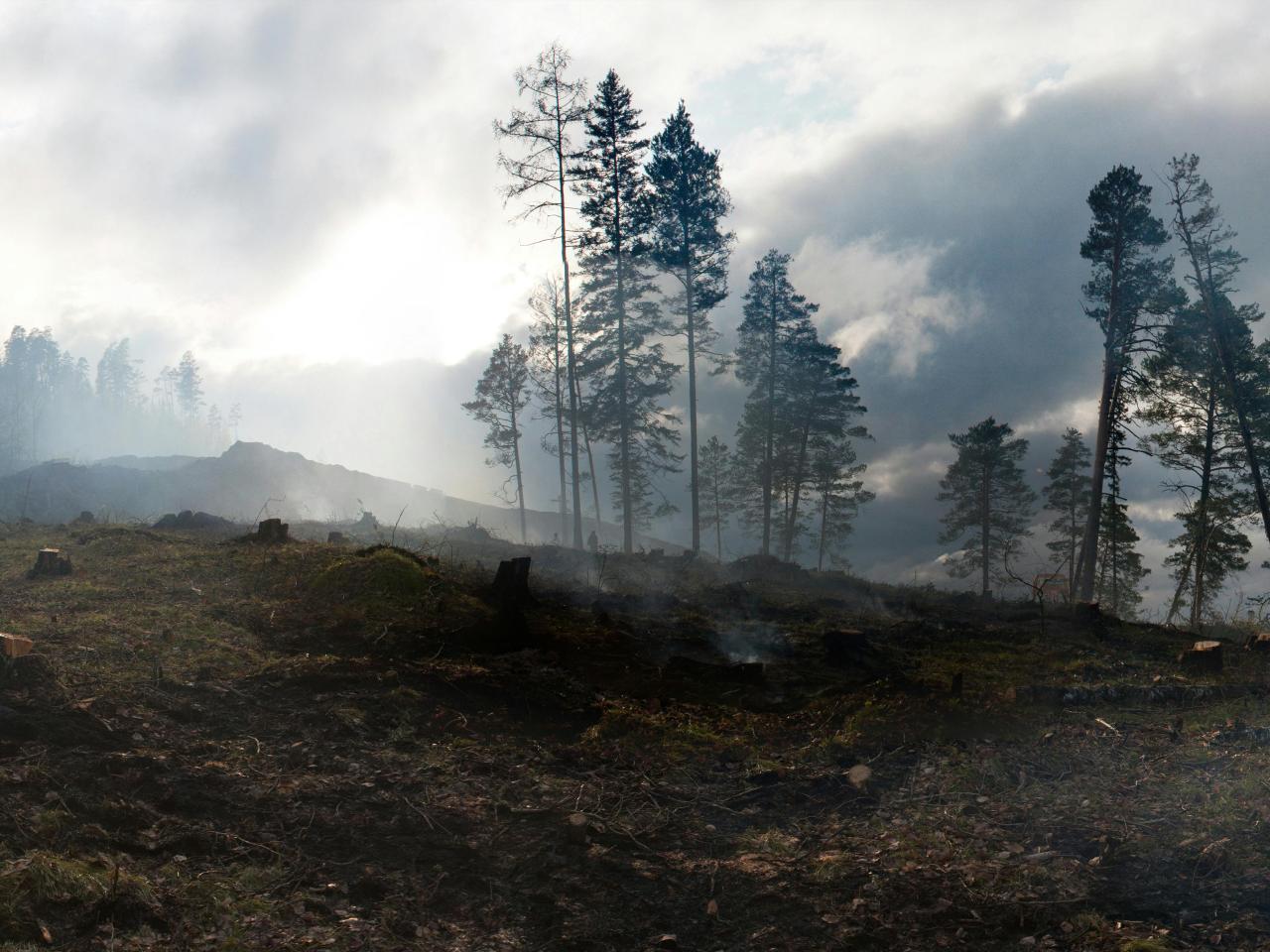 Updated air quality advisory: Keeping yourself healthy from wildfire ...